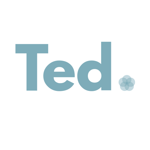 TED Consulting - technology empowers data
